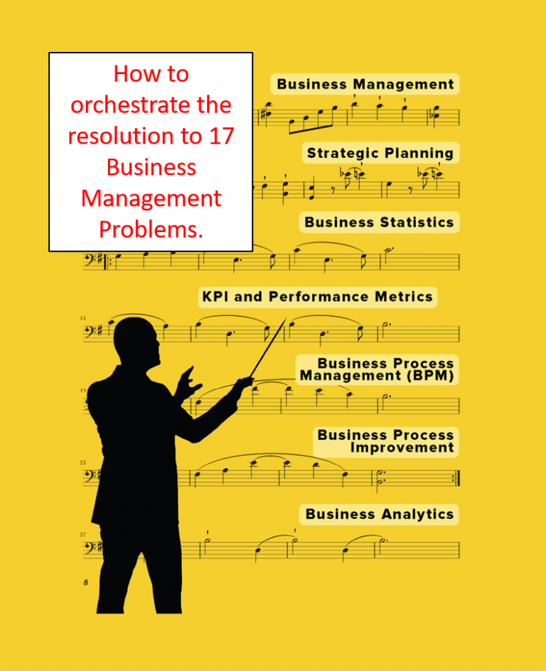 17 Business Management Problems and their Resolution